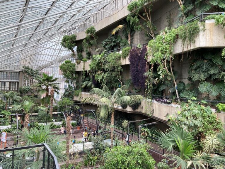 Barbican Conservatory: all you need to know about this venue